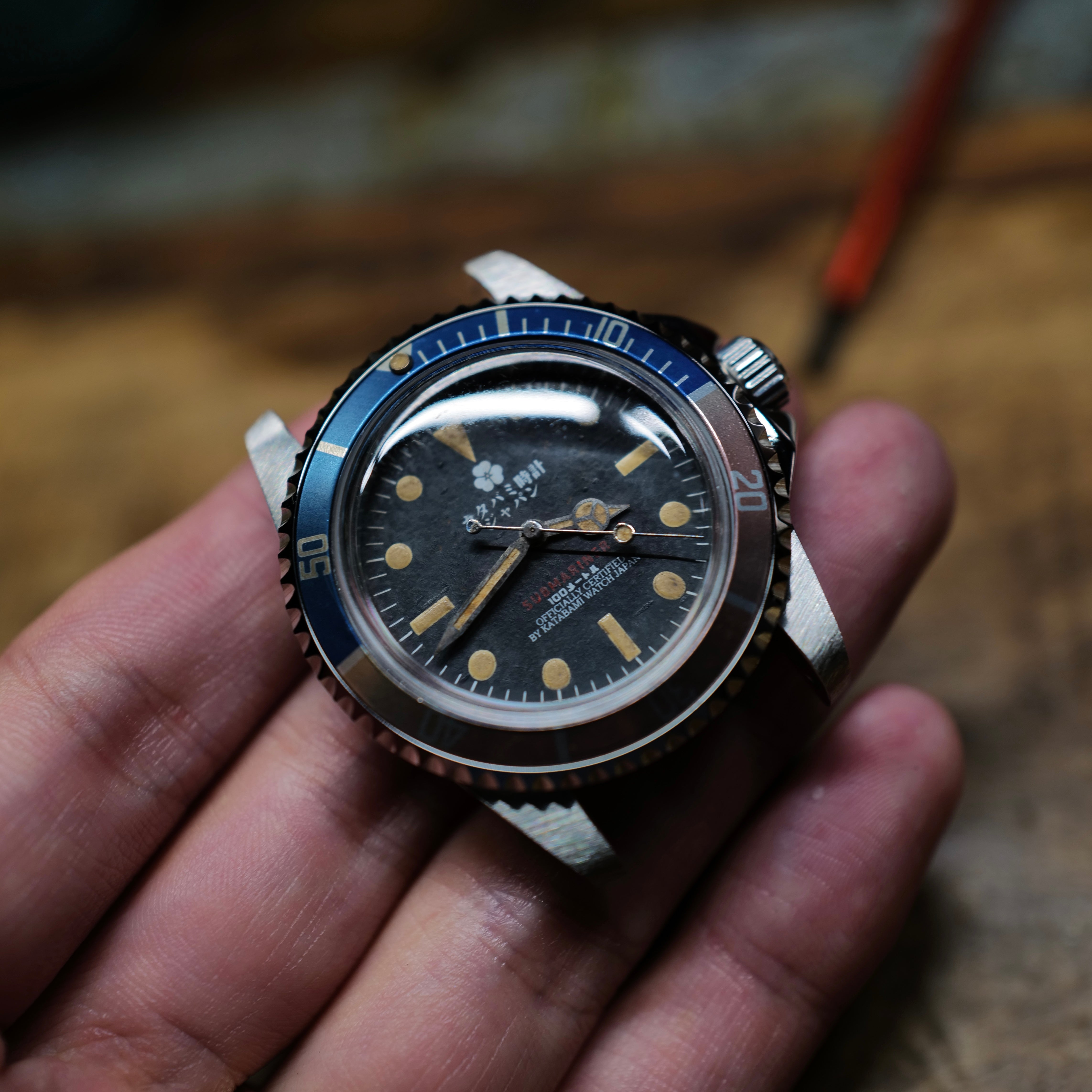 The diver The diver